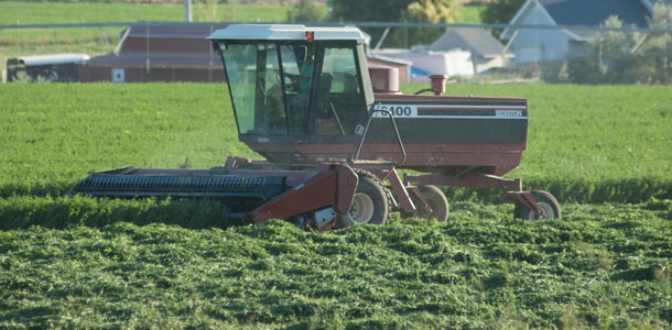 Sustainable Ag: A View from the Field
