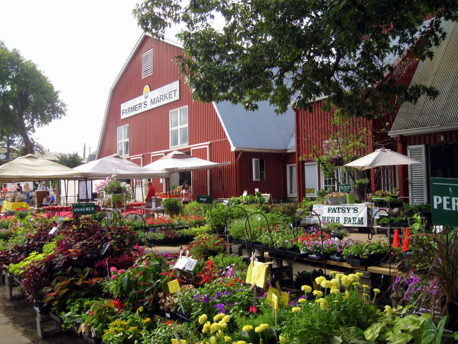 Today's Creations: Shelby Farms Park, Memphis TN