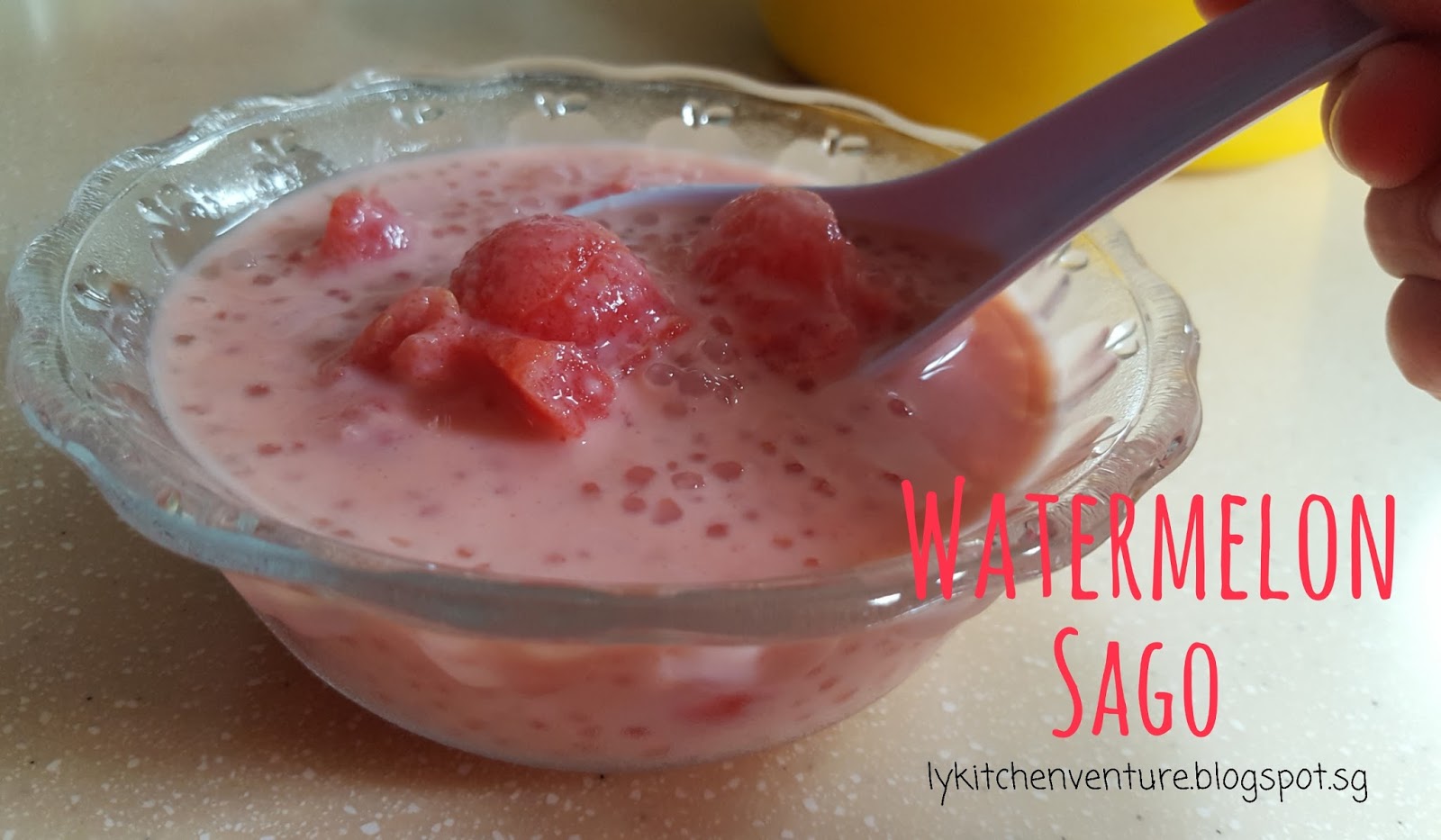 LY's Kitchen Ventures: Watermelon Sago
