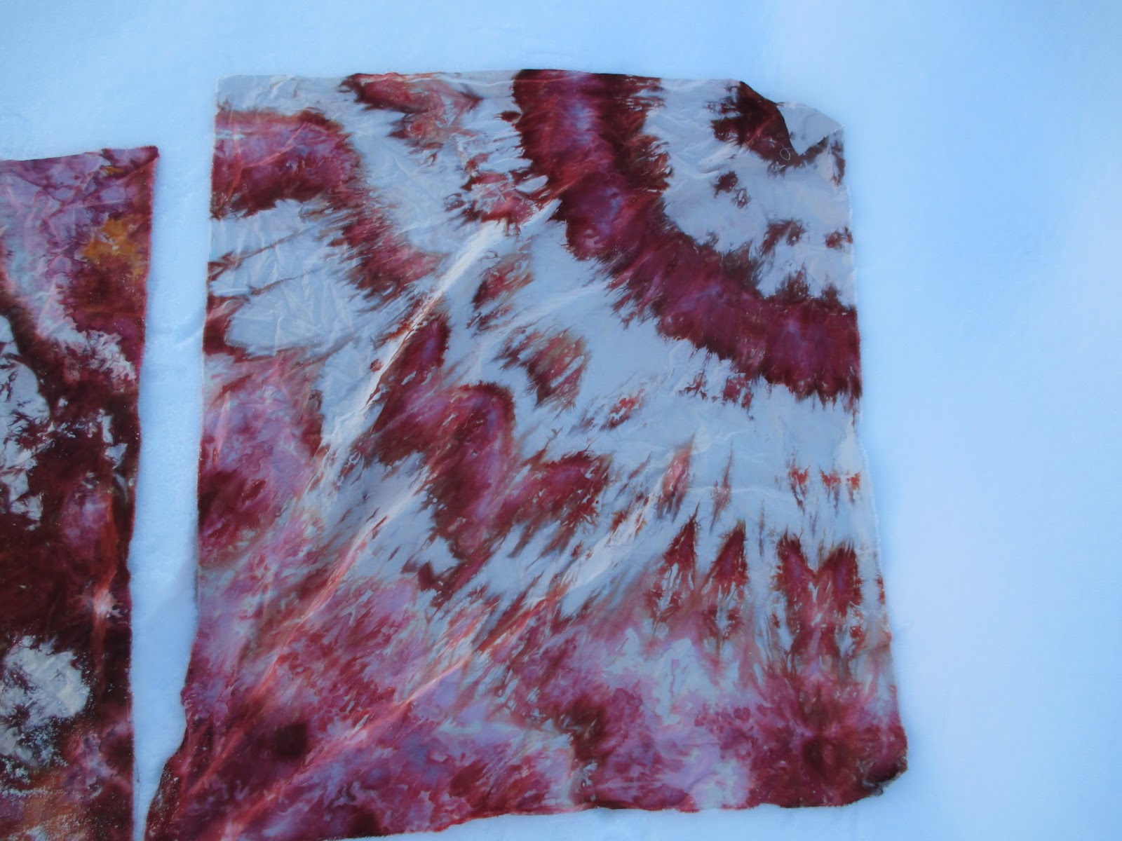 Bunchberry Studio: Snow Dyeing