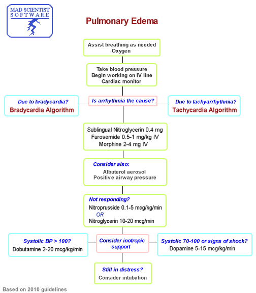TENTANG JANTUNG: PENATALAKSANAAN PASIEN DENGAN PULMONARY EDEMA / ALO ...