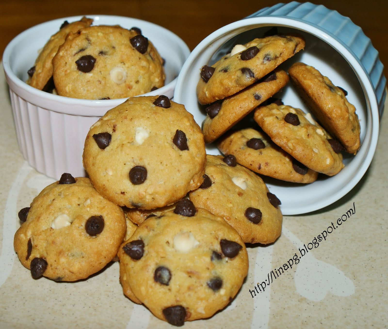 Biskut Chip Coklat - TERATAK MUTIARA KASIH