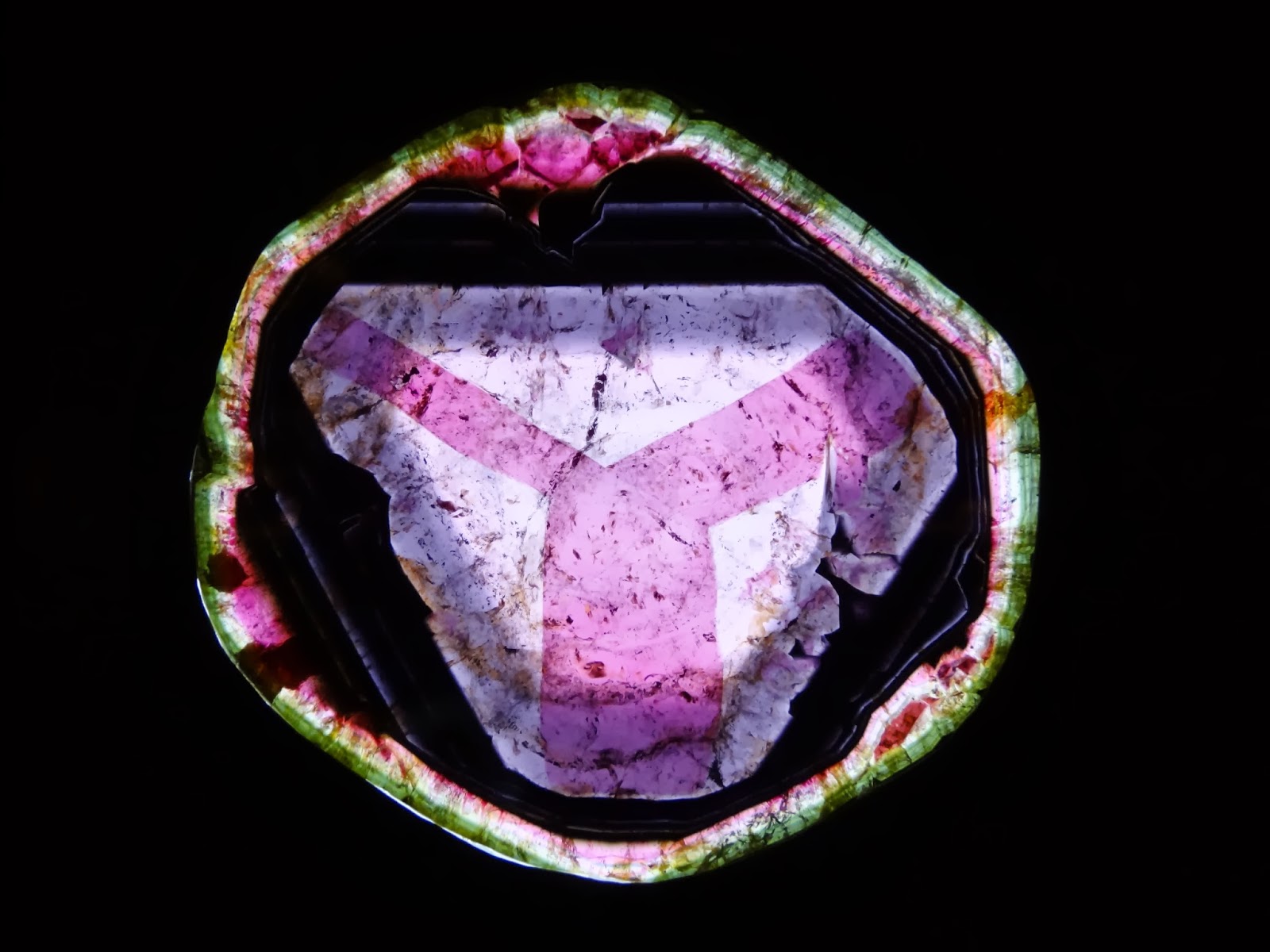 Natural History Museum of L.A. Minblog: Opening of the MIM museum in ...