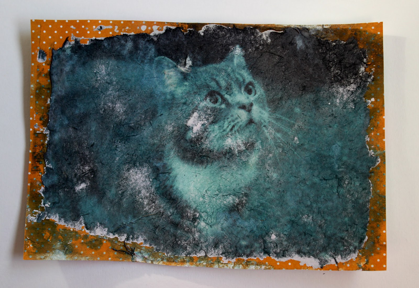 Emily's Photography Blog: Emulsion Transfers