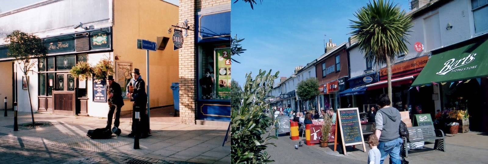 Hove in the Past: Trees of Hove