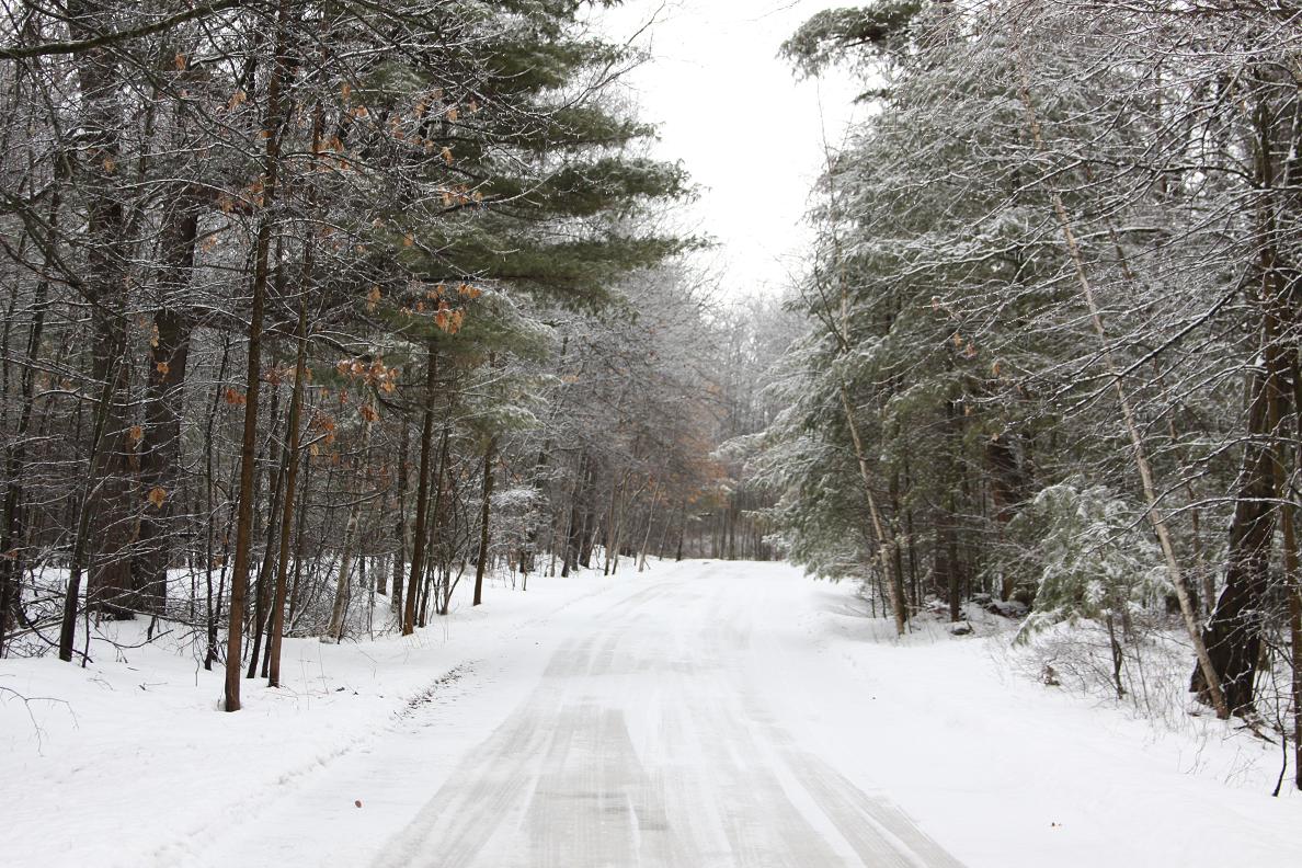 Michigan Exposures: Tobico Marsh