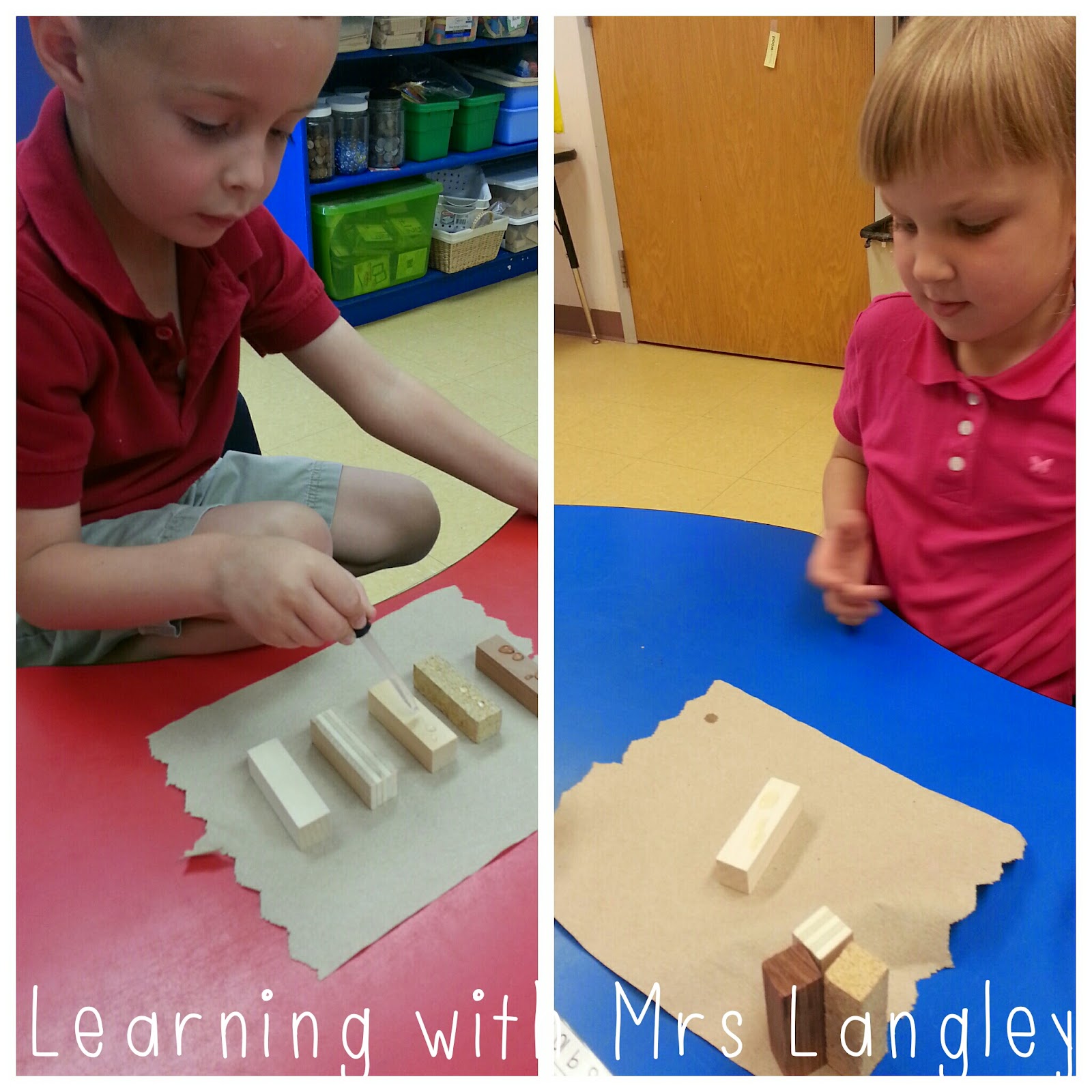 SCIENCE Thursday! Wood and Trees | Learning with Mrs. Langley