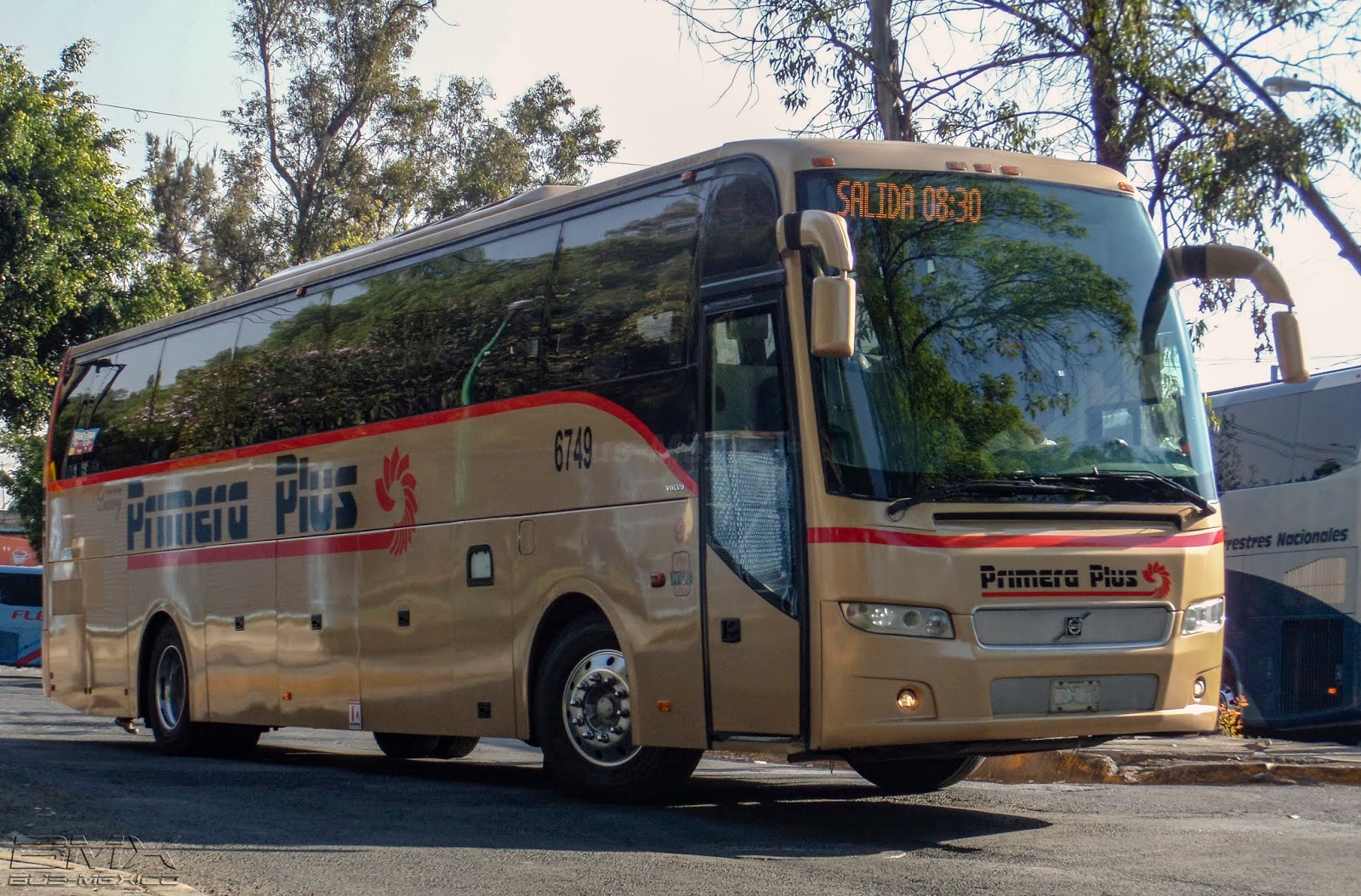 Primera Plus - Bus-México