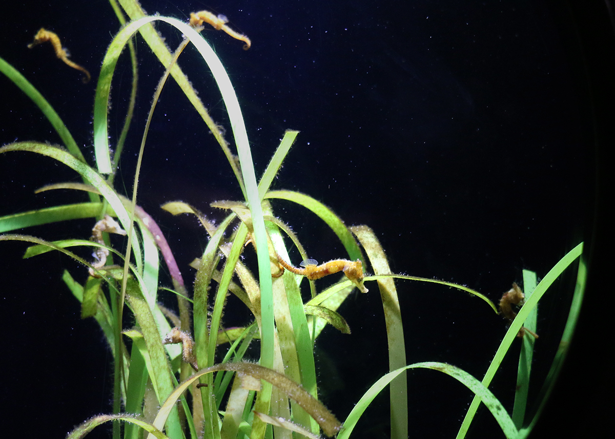 Exhibit Galleries Blog