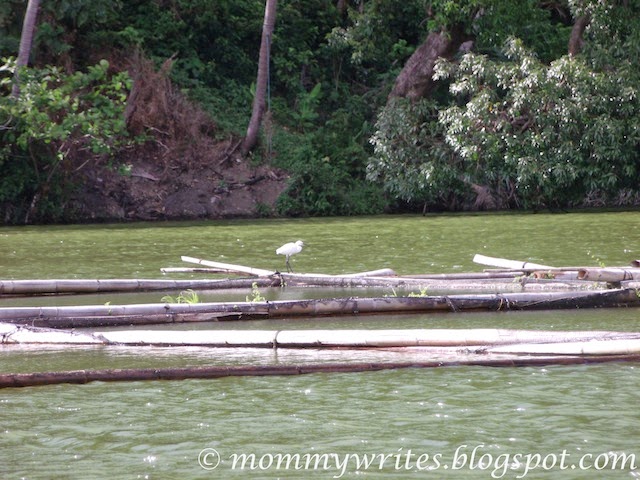Worth Discovering: Pandin Lake in San Pablo City, Laguna, Philippines ...