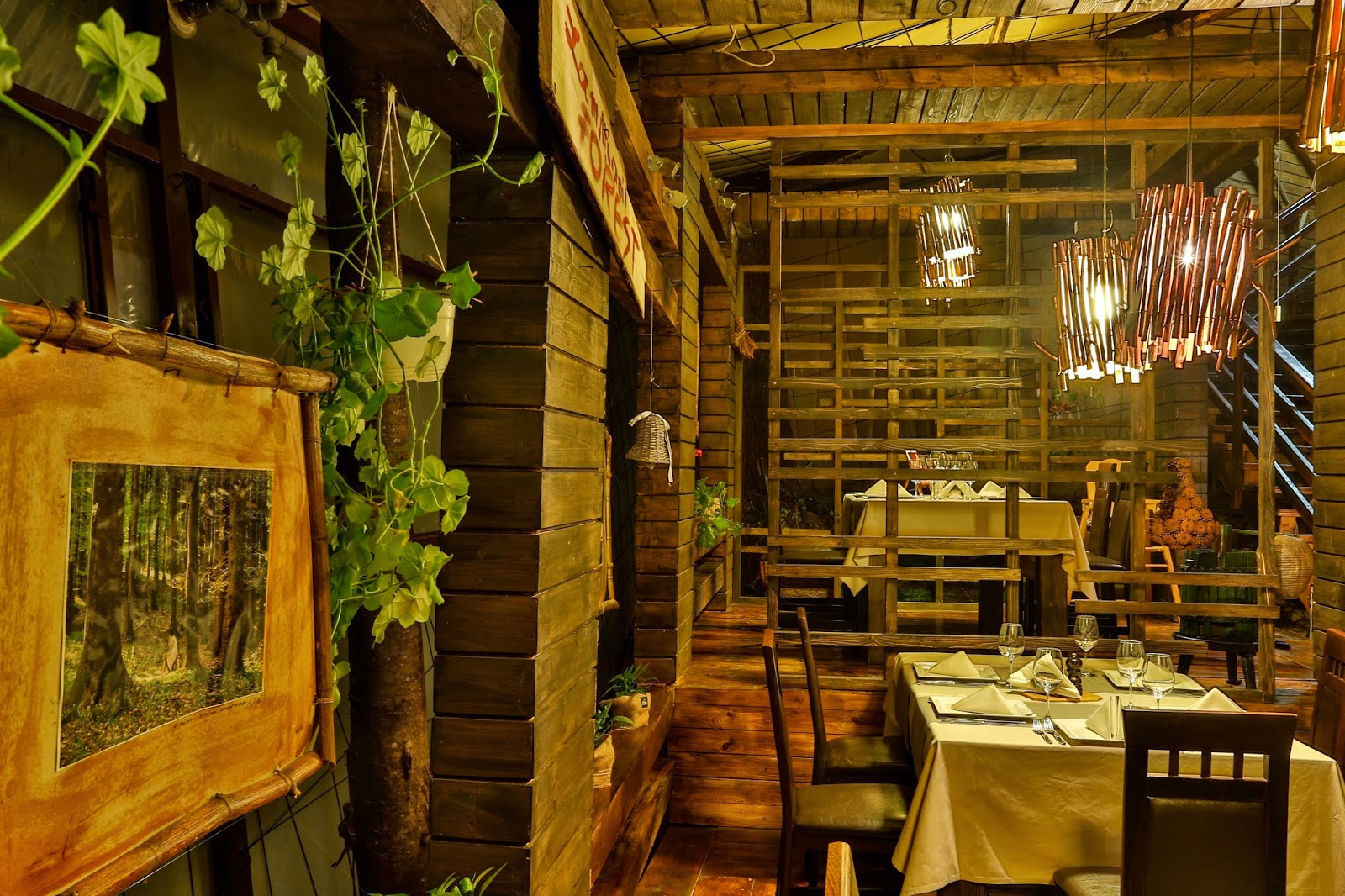 venividivola: Forest Restaurnat, un local-padure de cinci stele