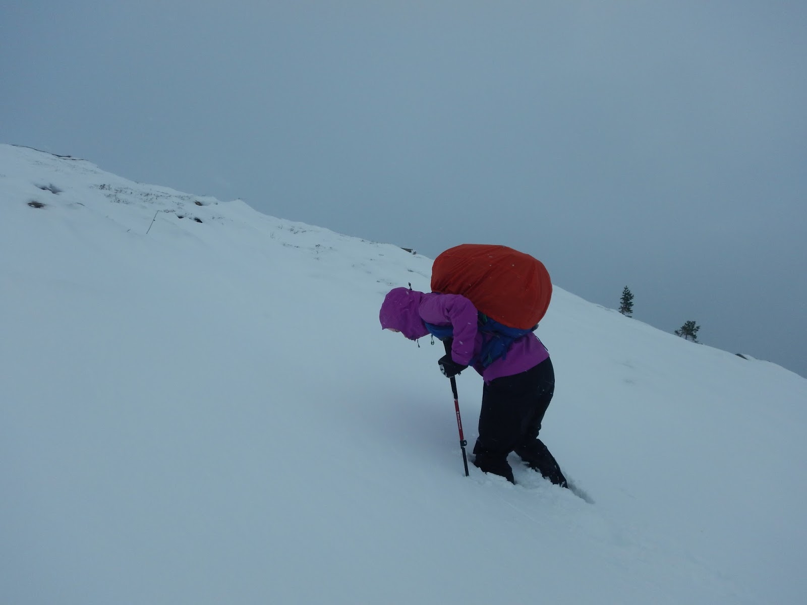 TARMACHAN MOUNTAINEERING: HALFWAY THROUGH WINTER, A QUICK ROUND UP