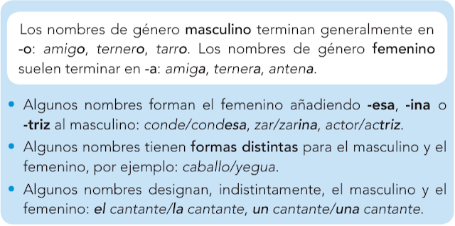 Las TIC en Primaria: EL NOMBRE: EL GÉNERO Y EL NÚMERO