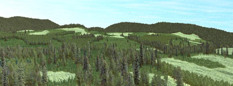 INGENIERIA FORESTAL: febrero 2011