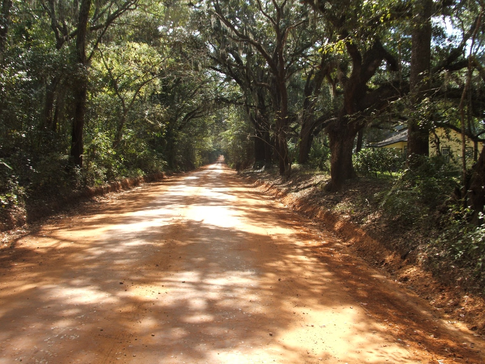 Rediscovering Florida: CANOPY ROADS & COUNTRY LANES – The Canopy Road ...