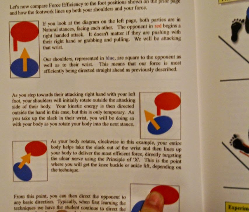 Tuite Jutsu (Personal training/teaching methodologies in Te): The 6 ...