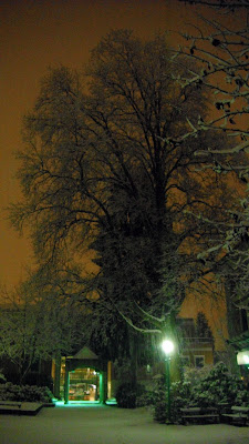 stormidae: first snow: night shots
