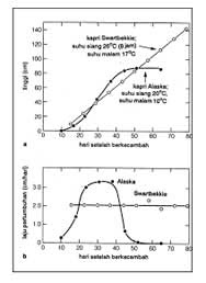 Pertumbuhan Organisme Uniseluler Dan Multiseluler - Biologisites