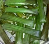 Resep Kue Tradisional Pais Pisang Nangka Khas Bogor | Aneka Resep dan ...