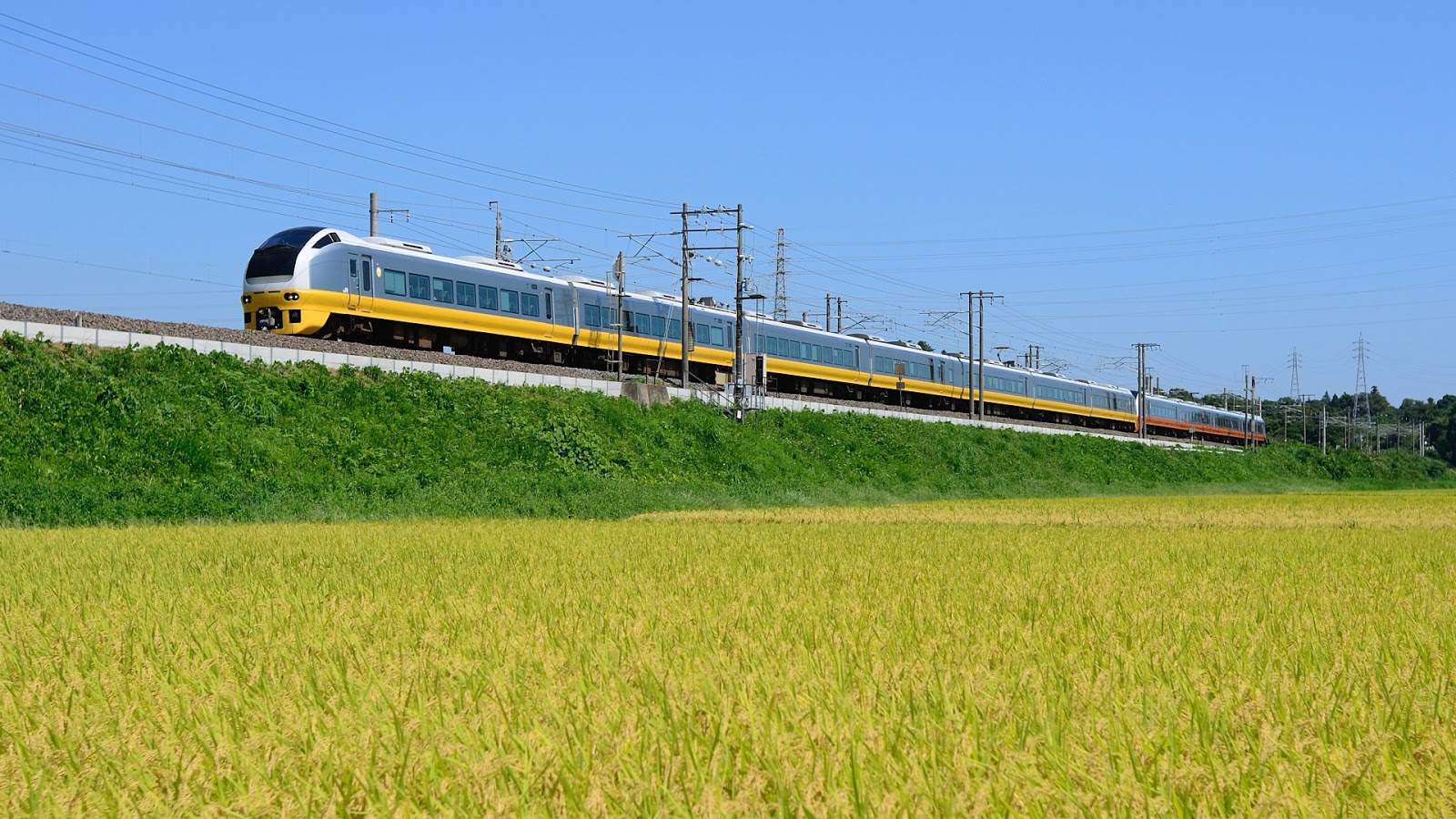 Fondo de Pantalla Paisaje Tren rodeado de espectacular paisaje