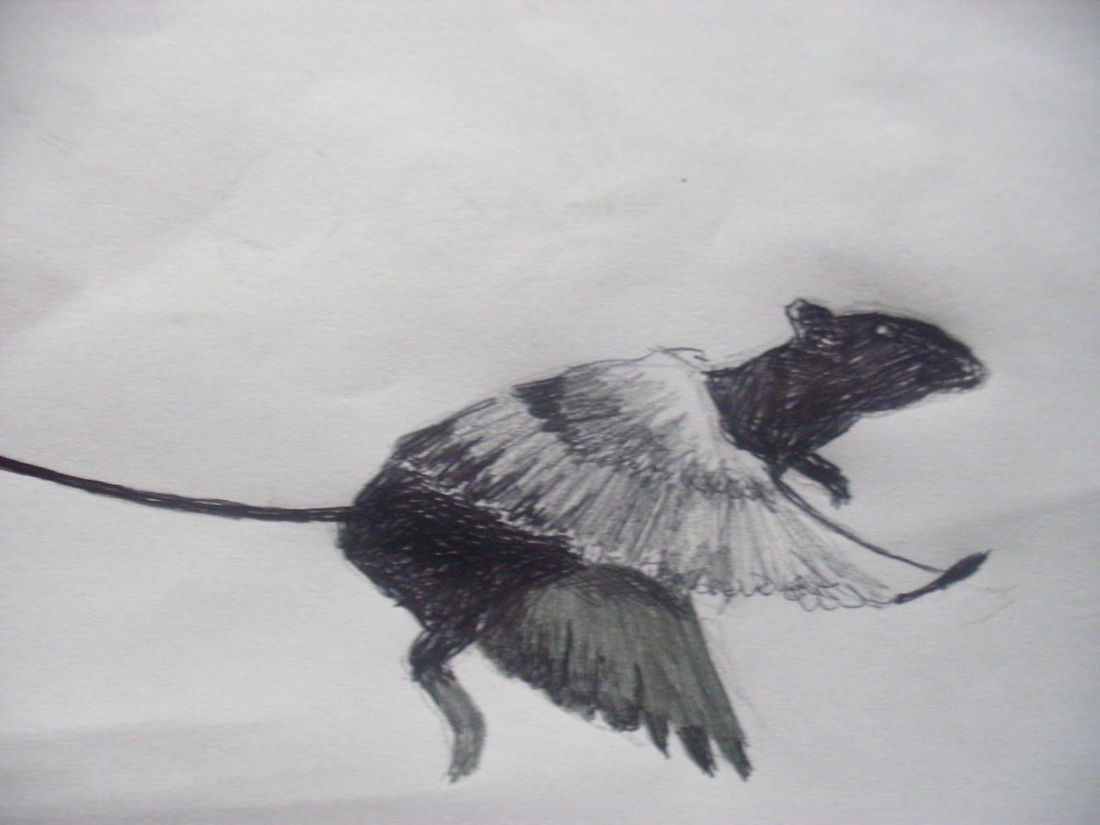 The Plain Clothes Clown: Flying Rats