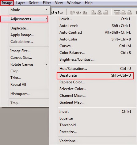 Functionality of Desaturate in Photoshop | Free Tutorial