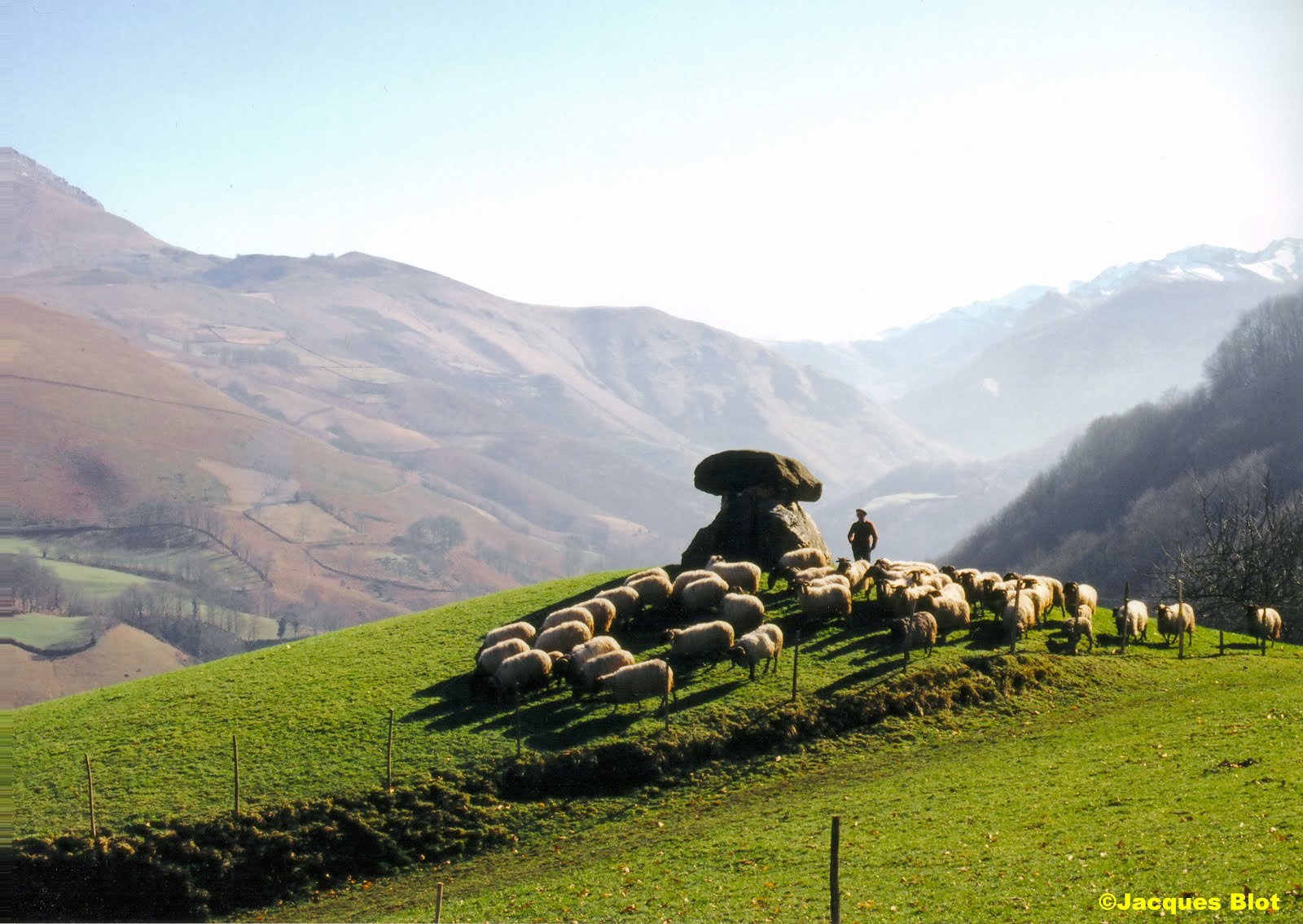 Artzainak - les bergers basques