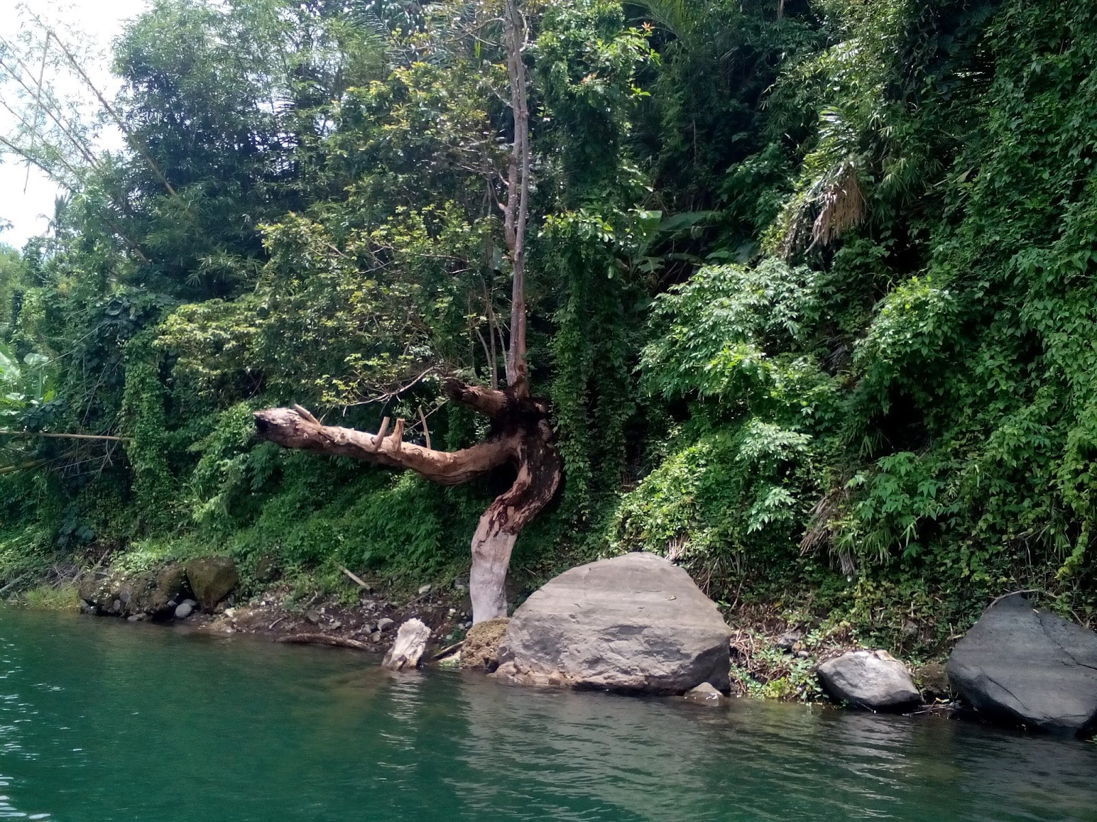 The BBBrillo Man : Yambo Lake