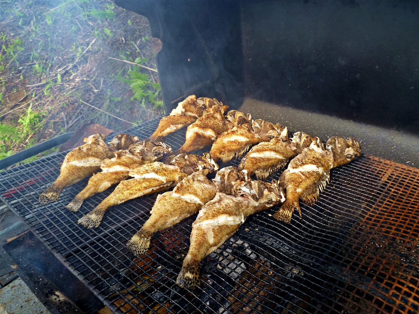 BBQGuam: BBQ'd Grouper (Gadao) and Eggplant