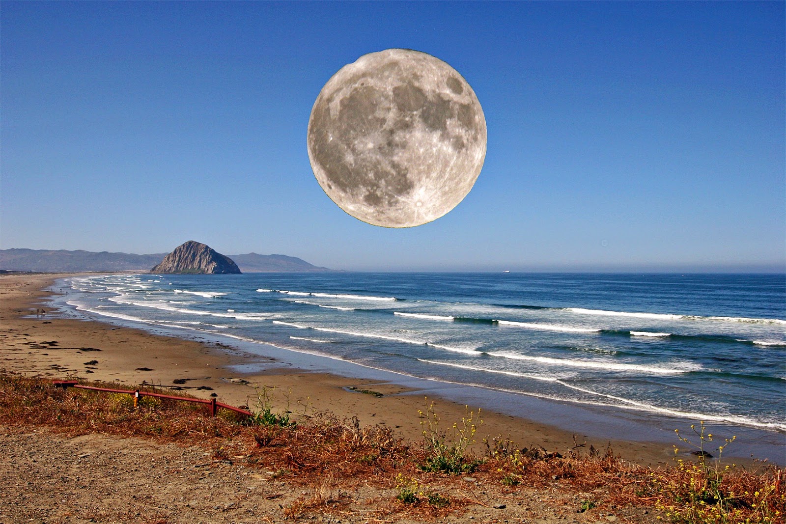 Luna llena en la playa.. | Luna llena, Luna, Super luna