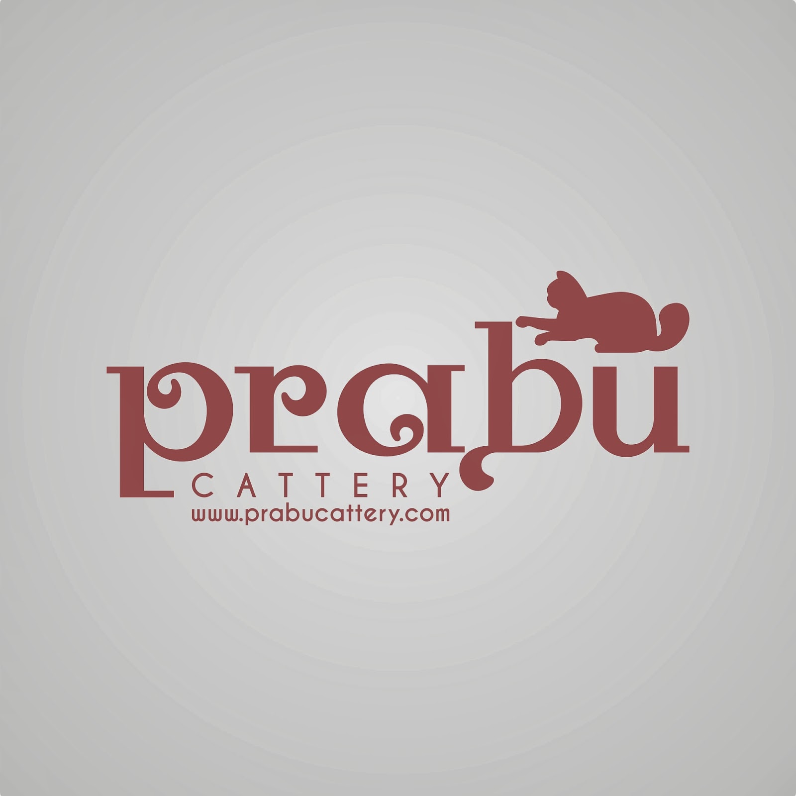 Prabu Cattery: 6 Jenis Kucing Terpintar di Dunia