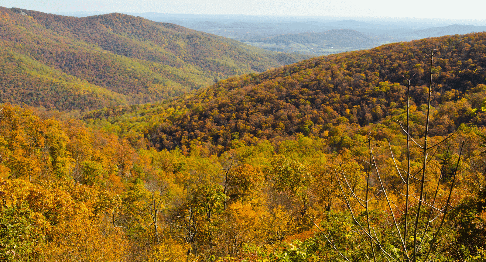Journeys With Judy: Shenandoah National Park VA