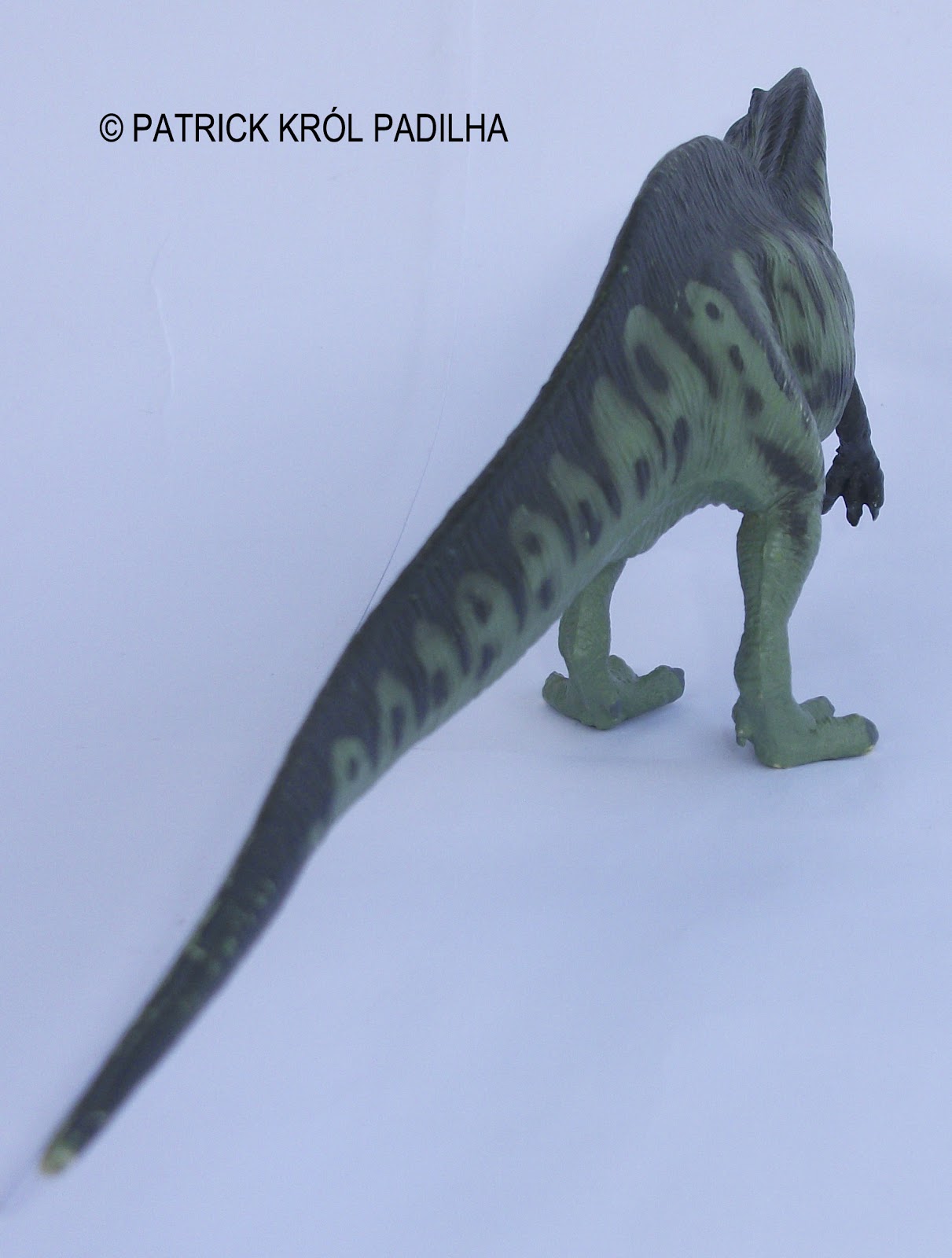 Dos Fósseis ao Plástico!: ACROCANTHOSAURUS ATOKENSIS (BATTAT)