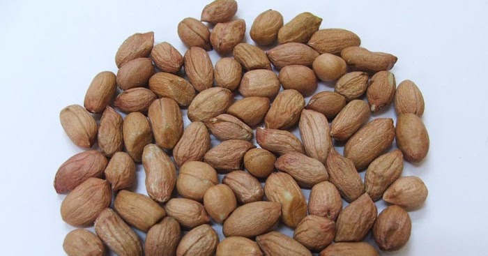 BRAZIL TRADE BUSINESS GROUP - INTERNATIONAL TRADING: NEW: Peanuts ...