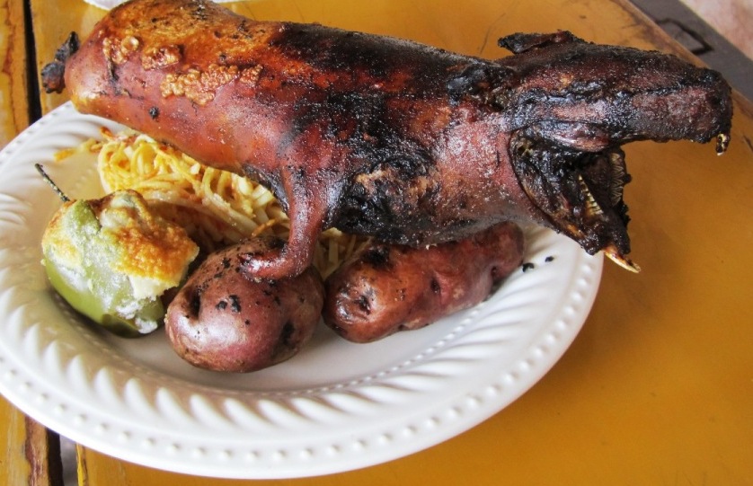 sconzani: Guinea pig for lunch anyone?