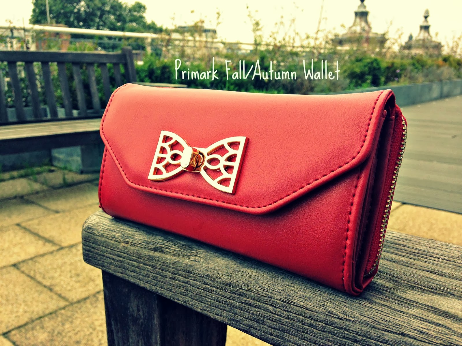 FashStyleLiv: Haul:Primark Fall/Autumn Wallet