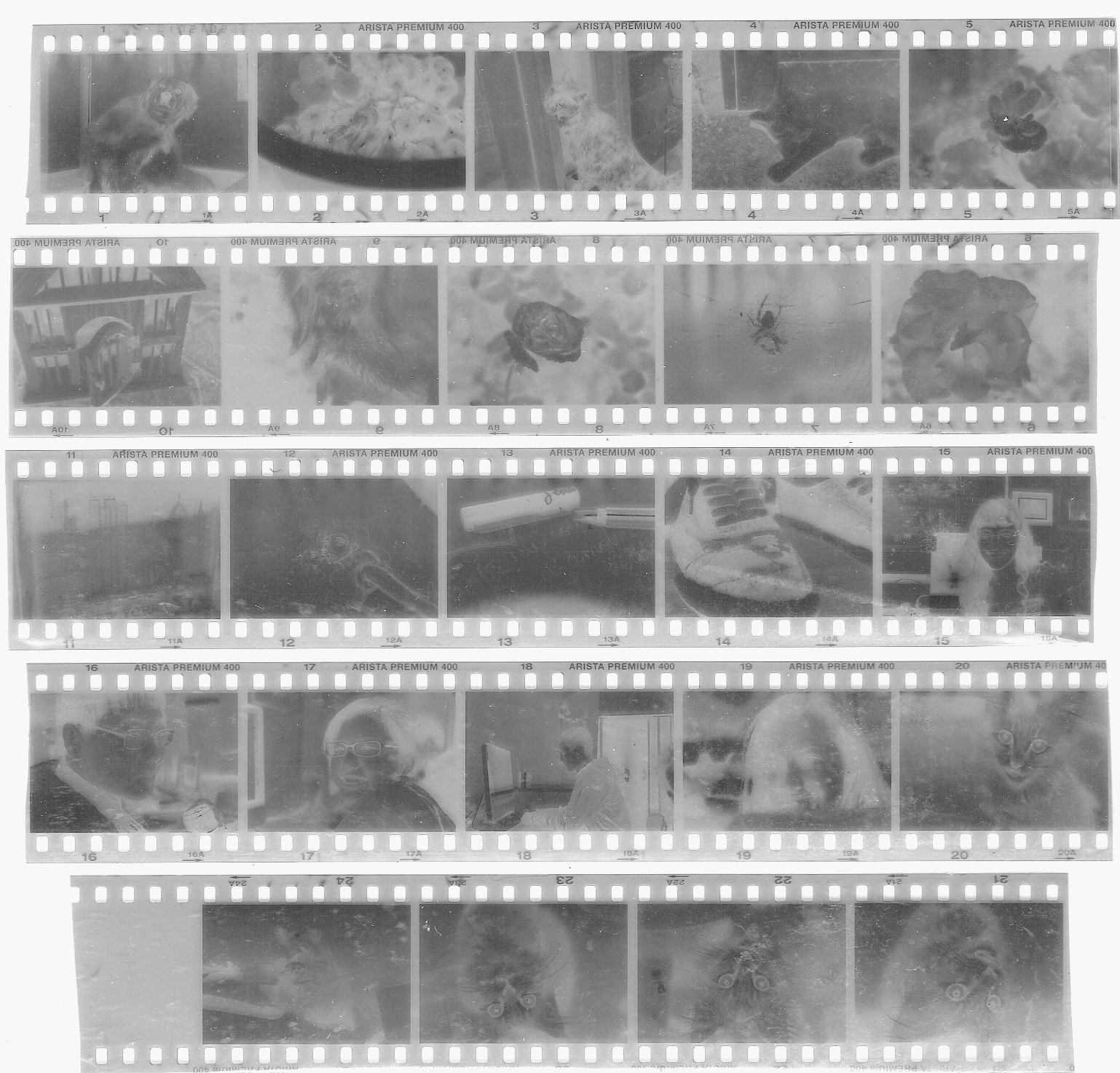 Photobomb: First Roll of Film