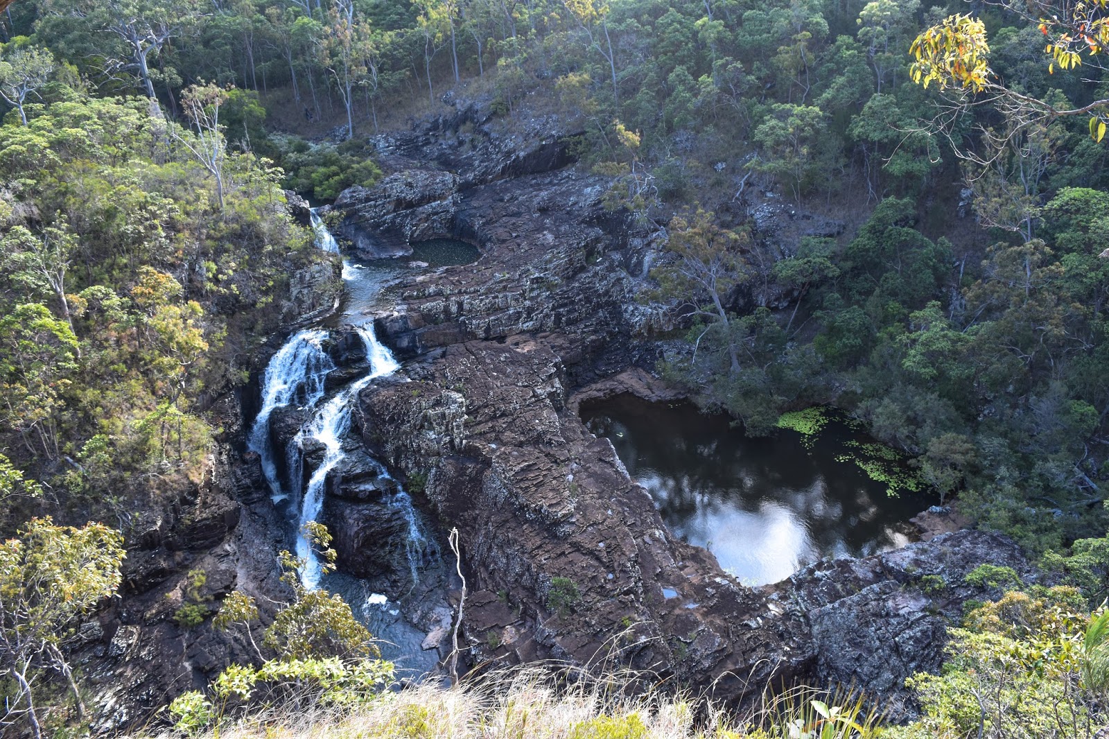 To Catch Sight Of.: Tumoulin State Forest