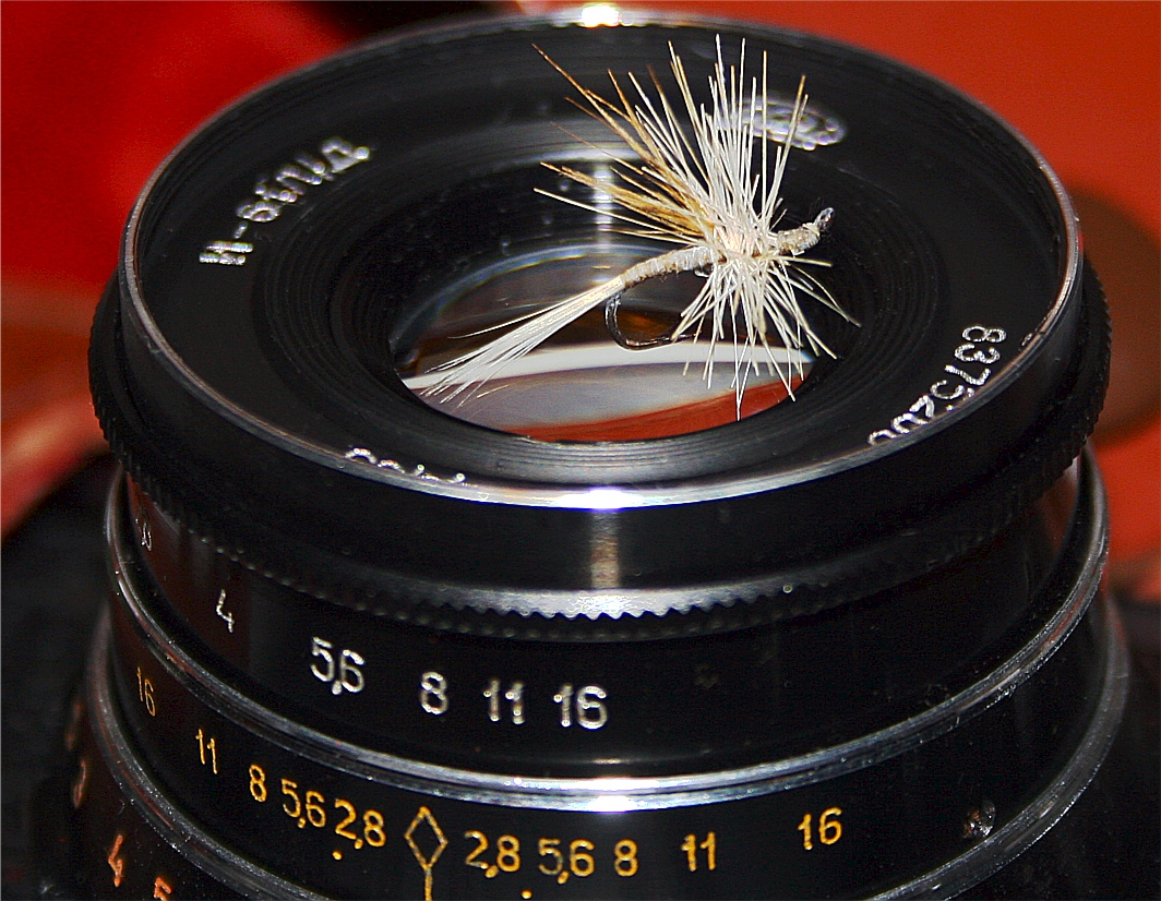 Fly Fishing In Yellowstone National Park: "DRY FLIES" for the mud