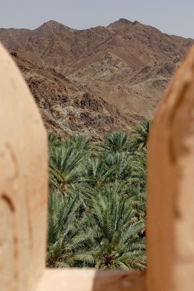 Geheimtippreisen: Oman Roadtrip: Bait al-Sarooj, unbekanntes Fort ...