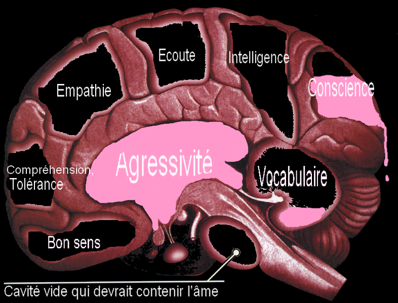 Blogue a T30DULLE,18 ans + Adult Only: Psychopathe a temps partiel