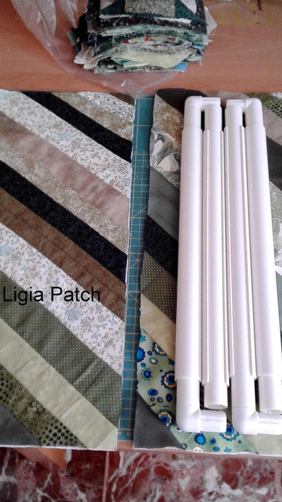 Ligia Patch: 2018
