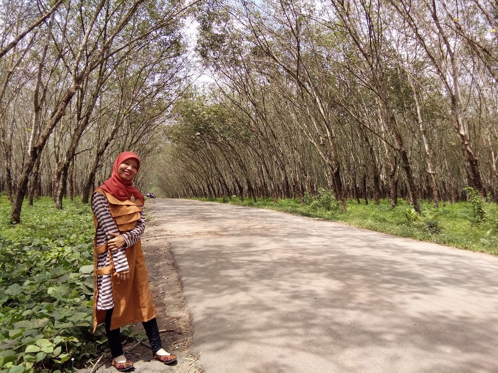 Kebun Karet Trikora, Lampung