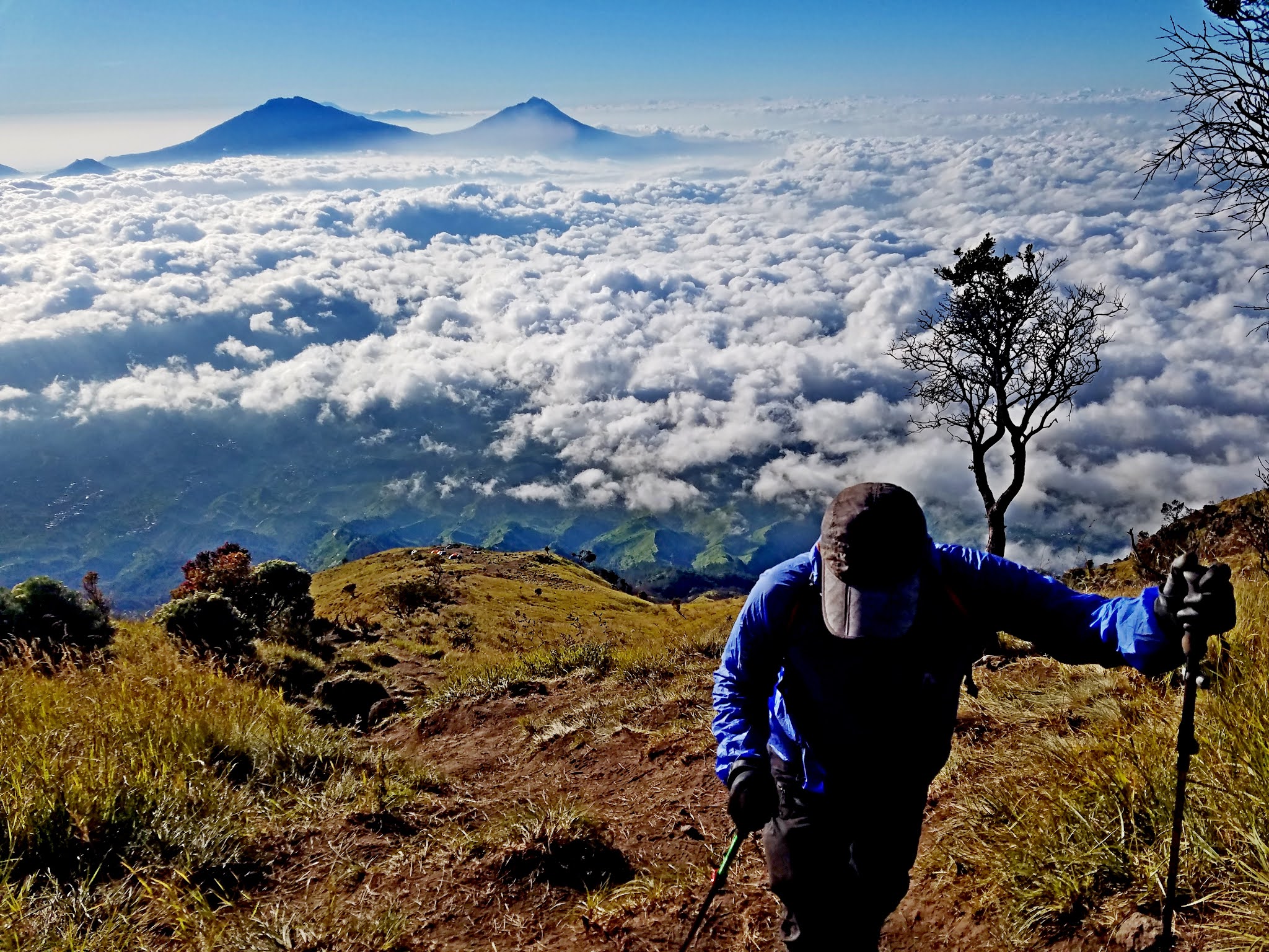 Share Cost, Open Trip Pendakian Gunung Sumbing Via Gajah Mungkur Lamuk ...