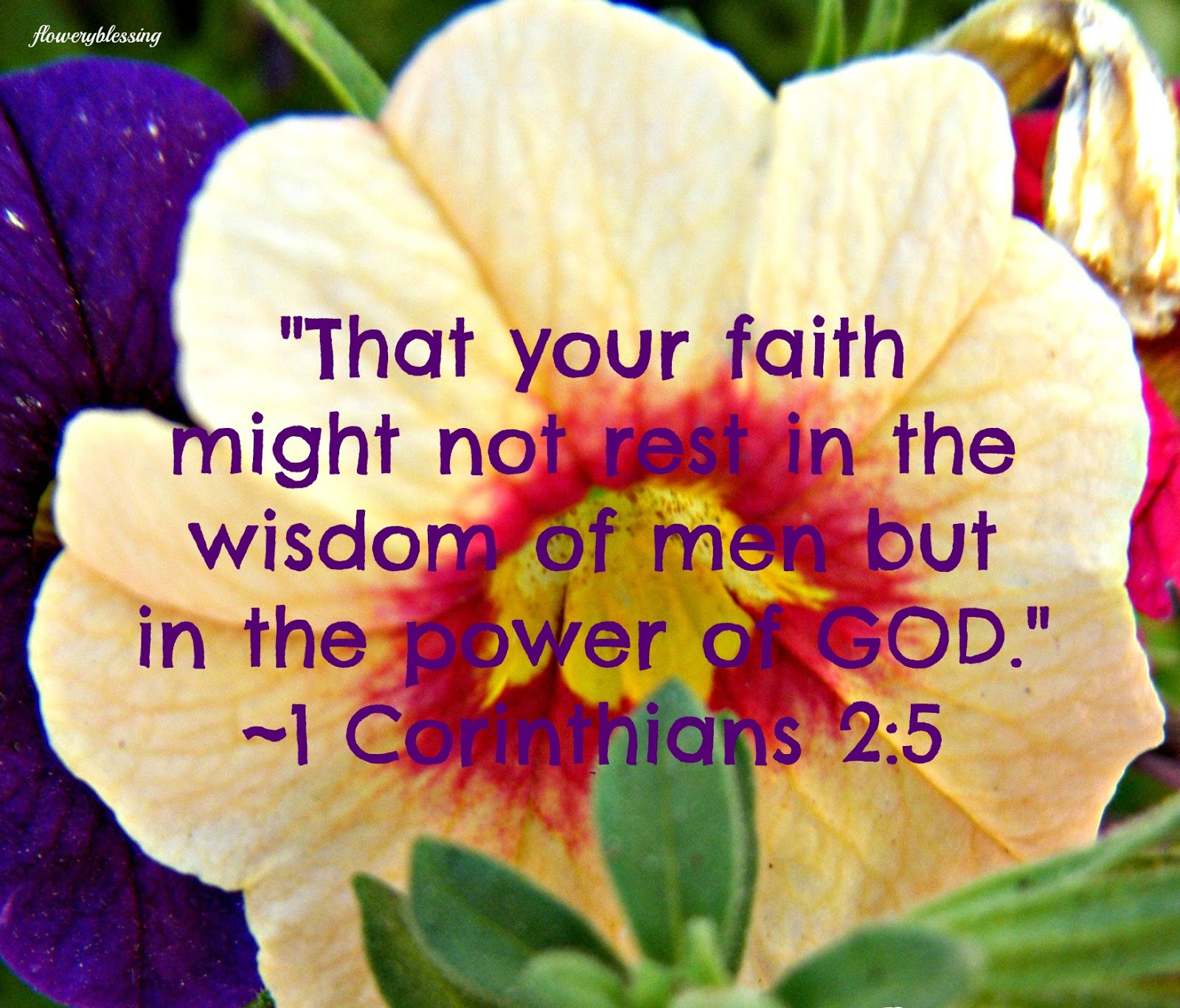 Flowery Blessing: "That your faith might not rest in the wisdom of men ...