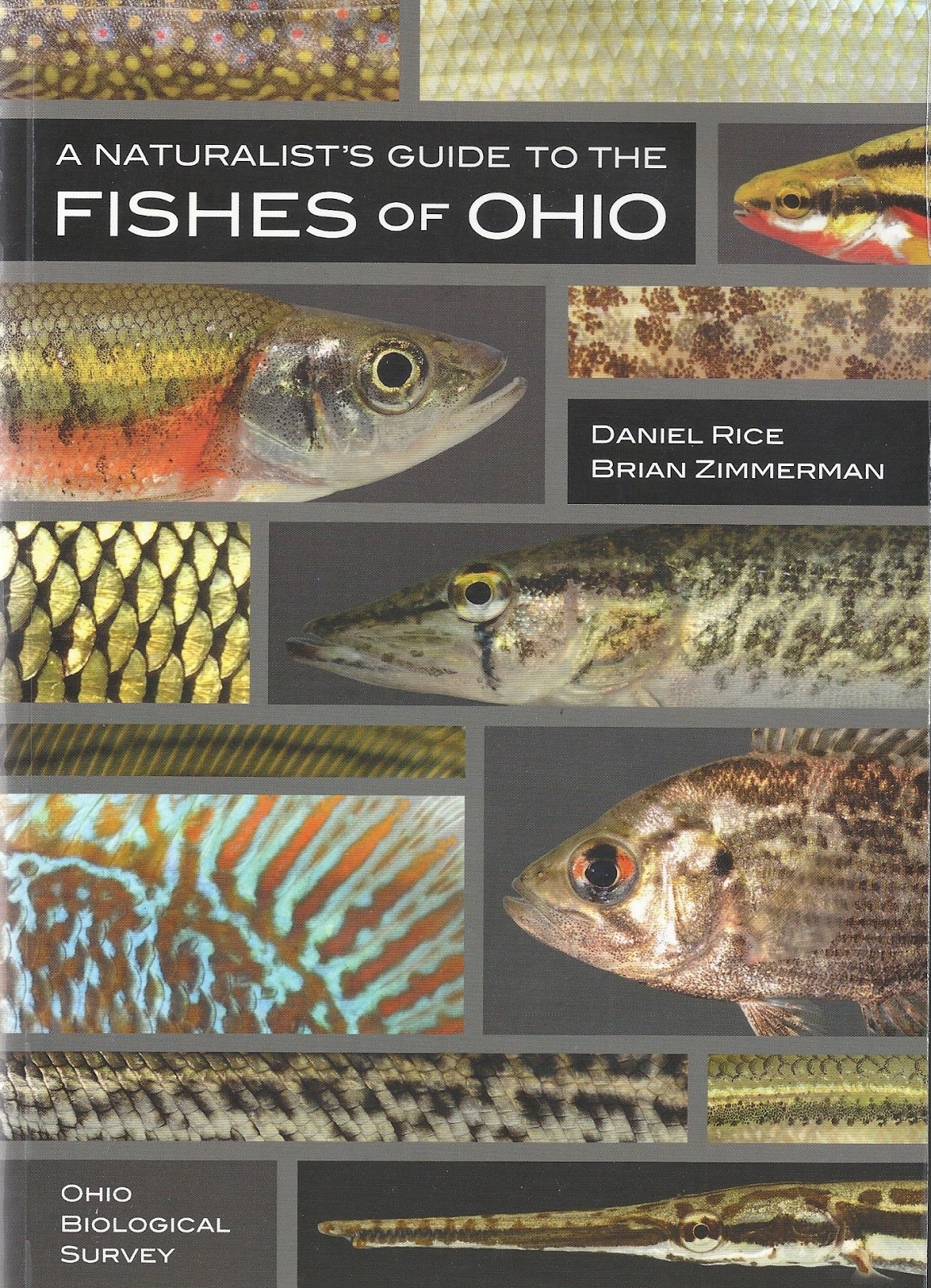 Ohio Birds and Biodiversity: Guide packed with info to hook Ohio fish ...