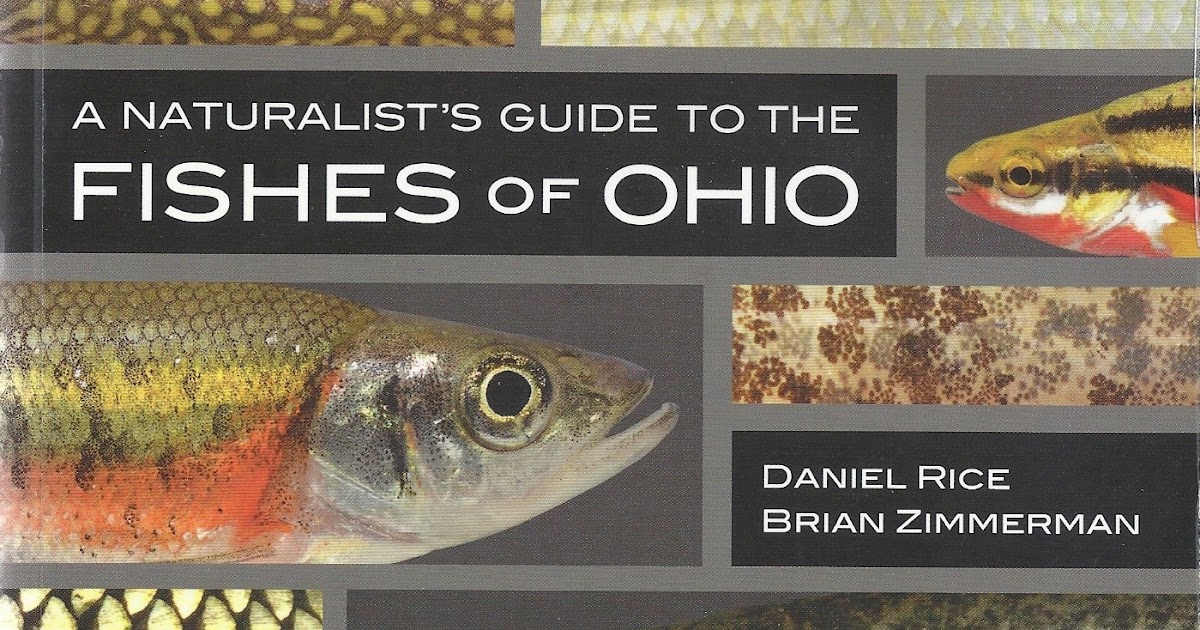 Ohio Birds and Biodiversity: Guide packed with info to hook Ohio fish ...