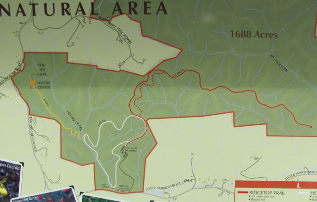 Blue Roads to Hiking Trails: Another Round at Beaman Park