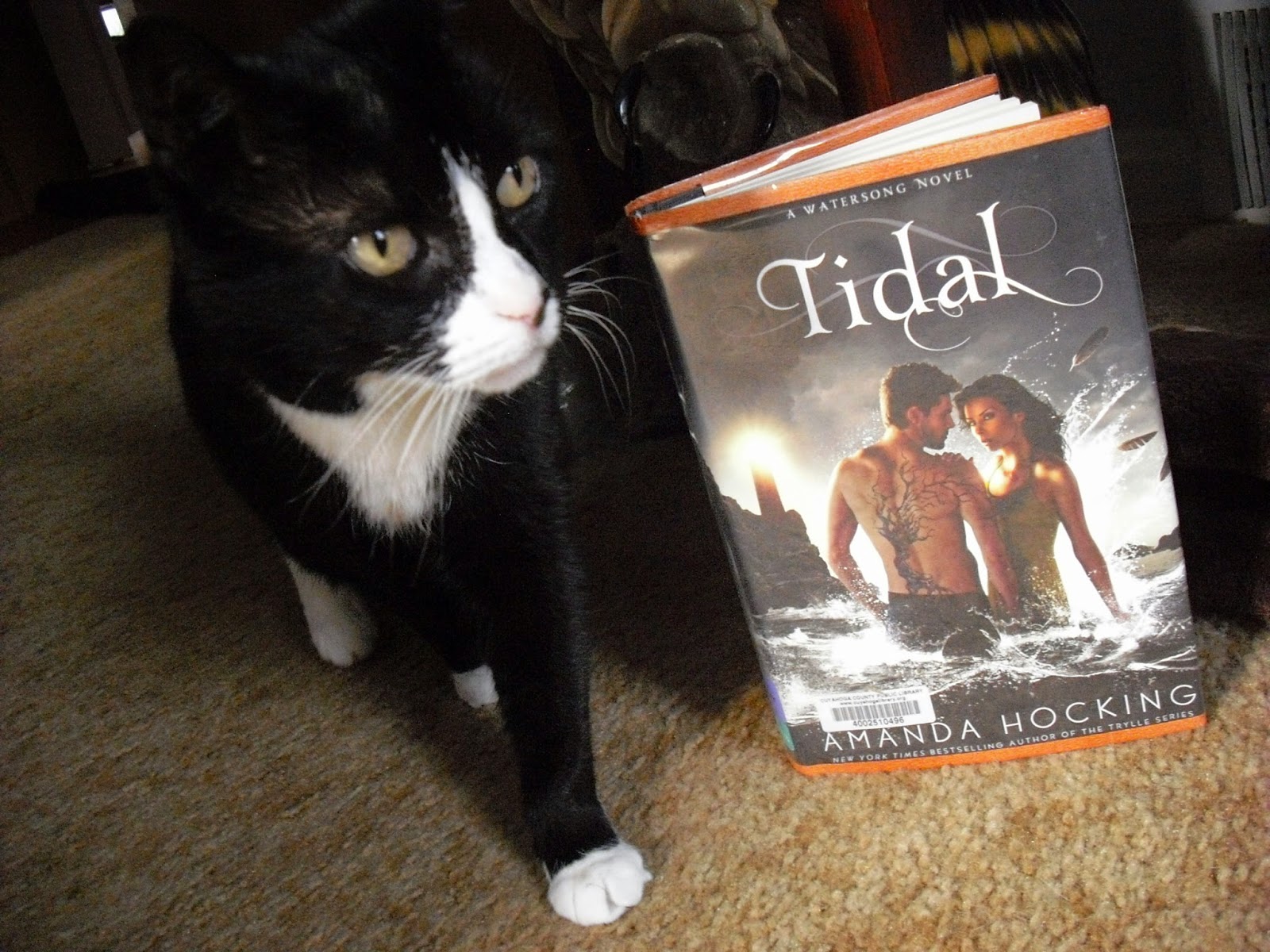 Grab A Book From Our Stack: "Tidal" by Amanda Hocking (3rd book of ...