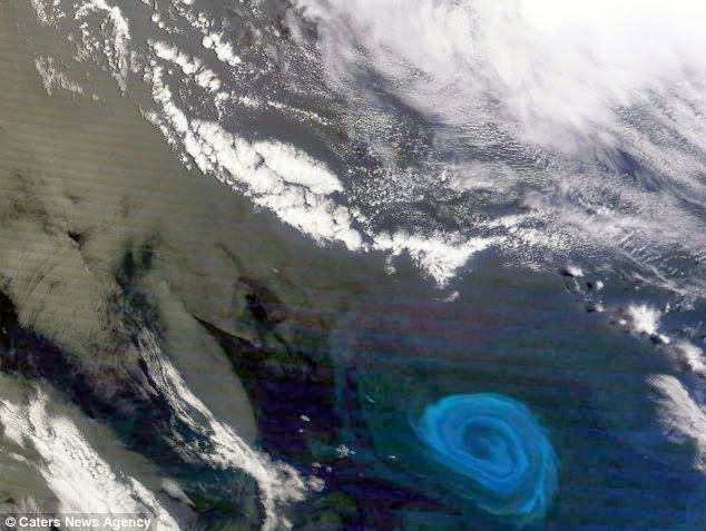 Badai Bawah Laut | Muslimina